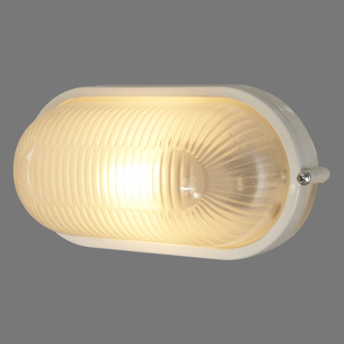 Светильник овальный TDM Electric НПБ 1401 1xE27x60 Вт, цвет белый, IP54